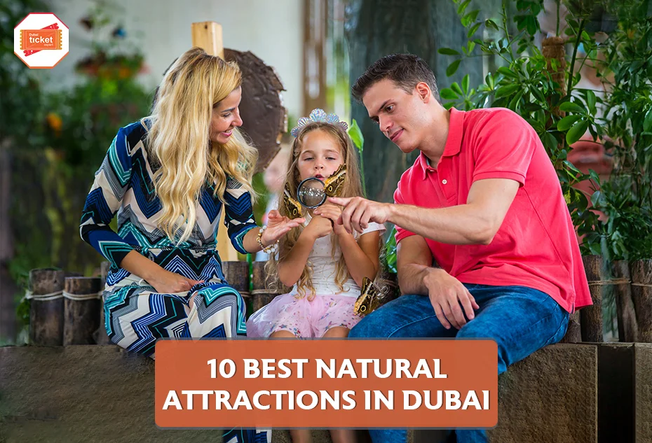 Top 10 Best Natural Attractions in Dubai You Shouldn’t Miss