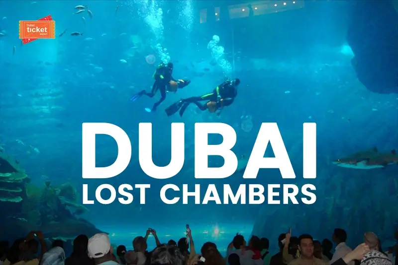 Lost Chambers Aquarium Tickets, Dubai | Experience Marine Life