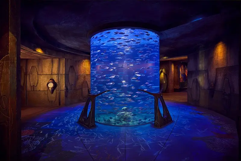 Lost Chambers Aquarium Tickets, Dubai | Experience Marine Life